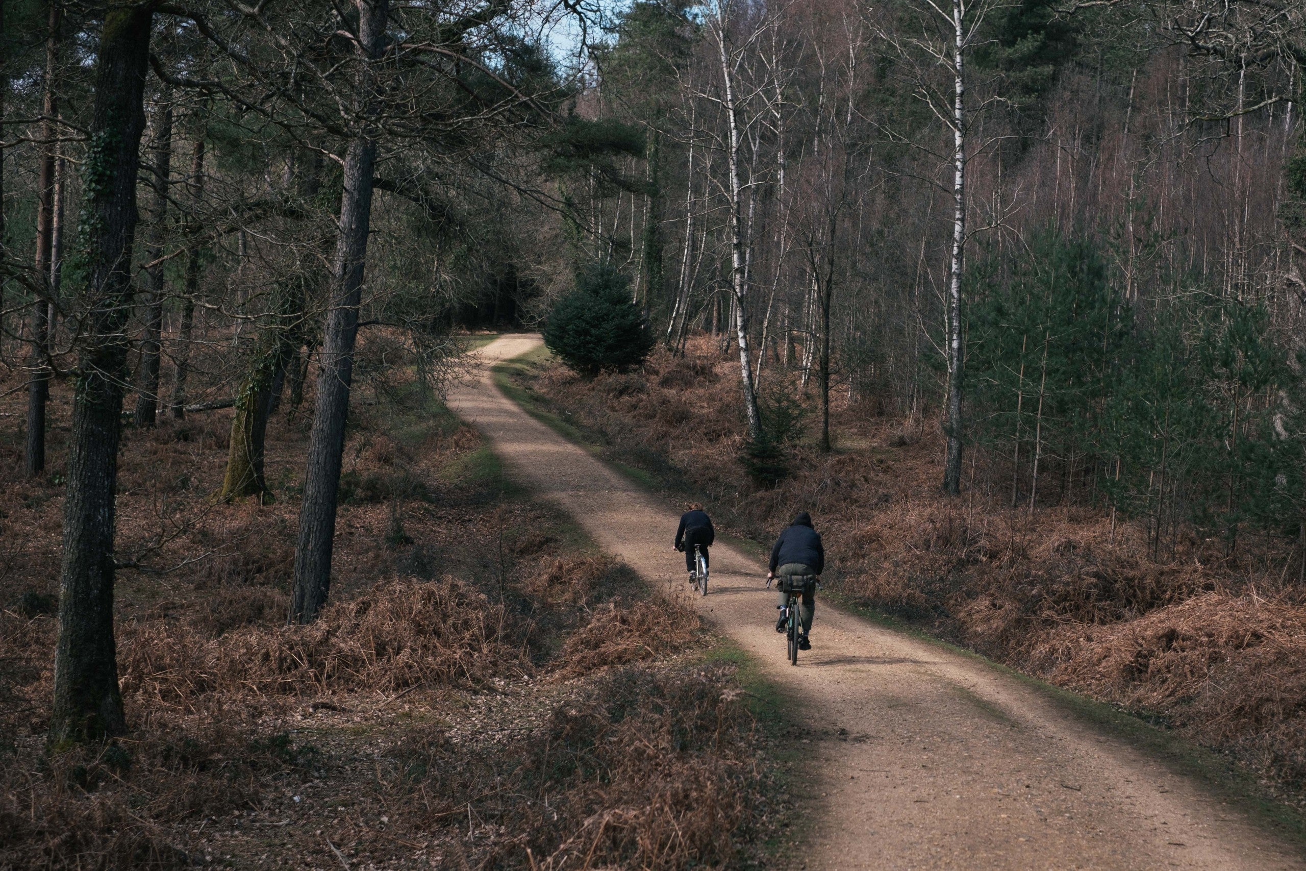 Routes – The Woods Cyclery